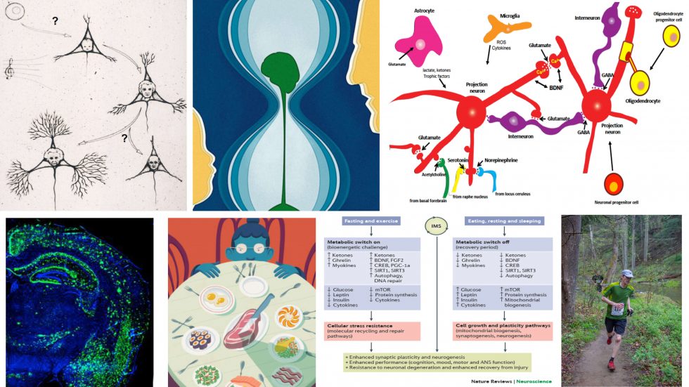 Simposio internazionale di neuroscienze 2019 di Mark Mattson